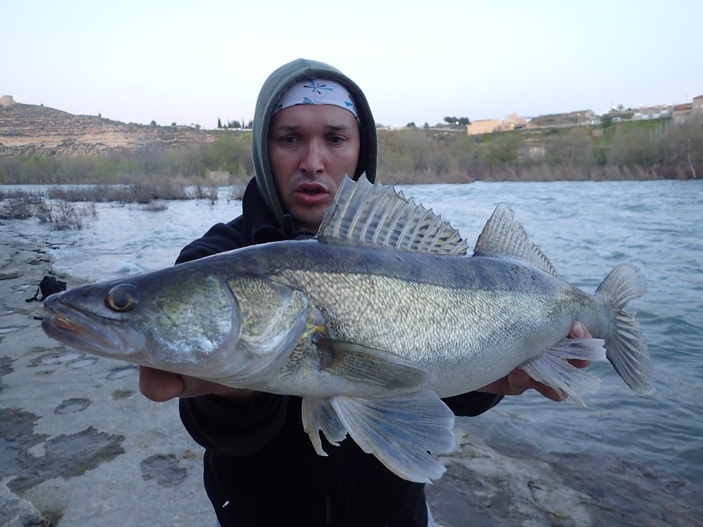 Panic Fishing – Goran Panic Fishing
