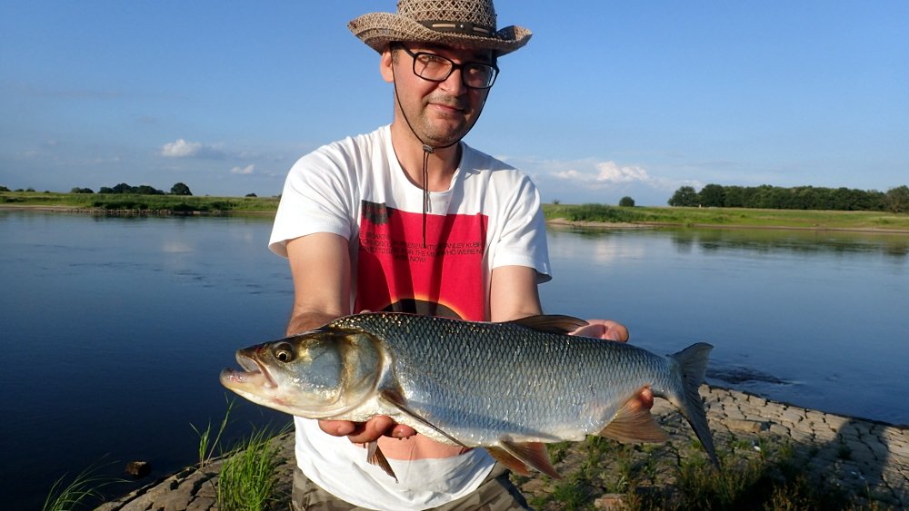 Oder-Spree Germany – Panic Fishing