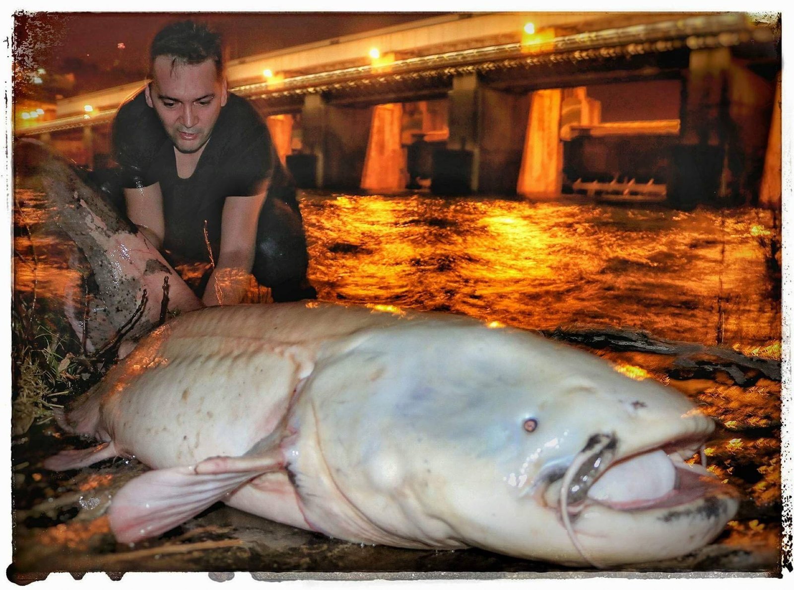 Gallery – Panic Fishing