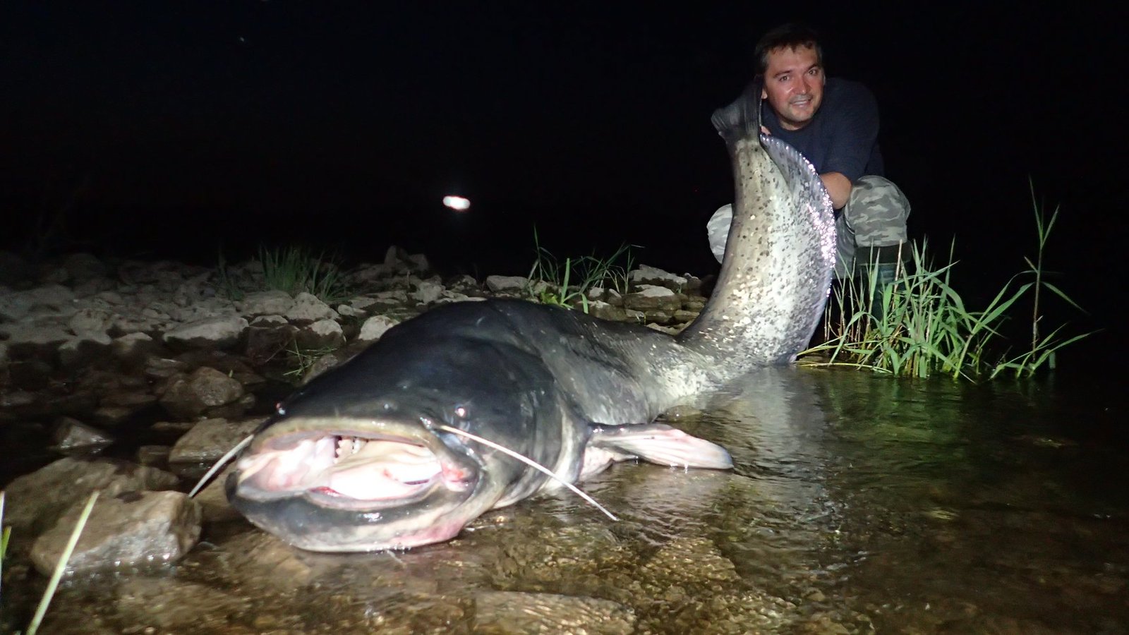 Gallery – Panic Fishing